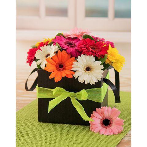 Gerber Daisy Favor Boxes Gerbera Daisy Orange/Tangerine | Gertens